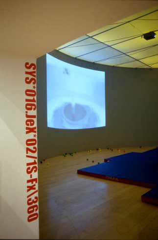 Exhibitions | Mathieu Briand